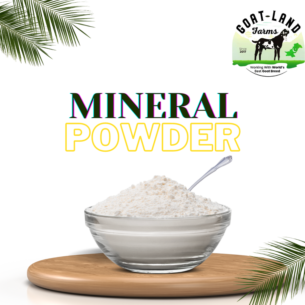 GOATLANDFARMS – Goatlandfarms