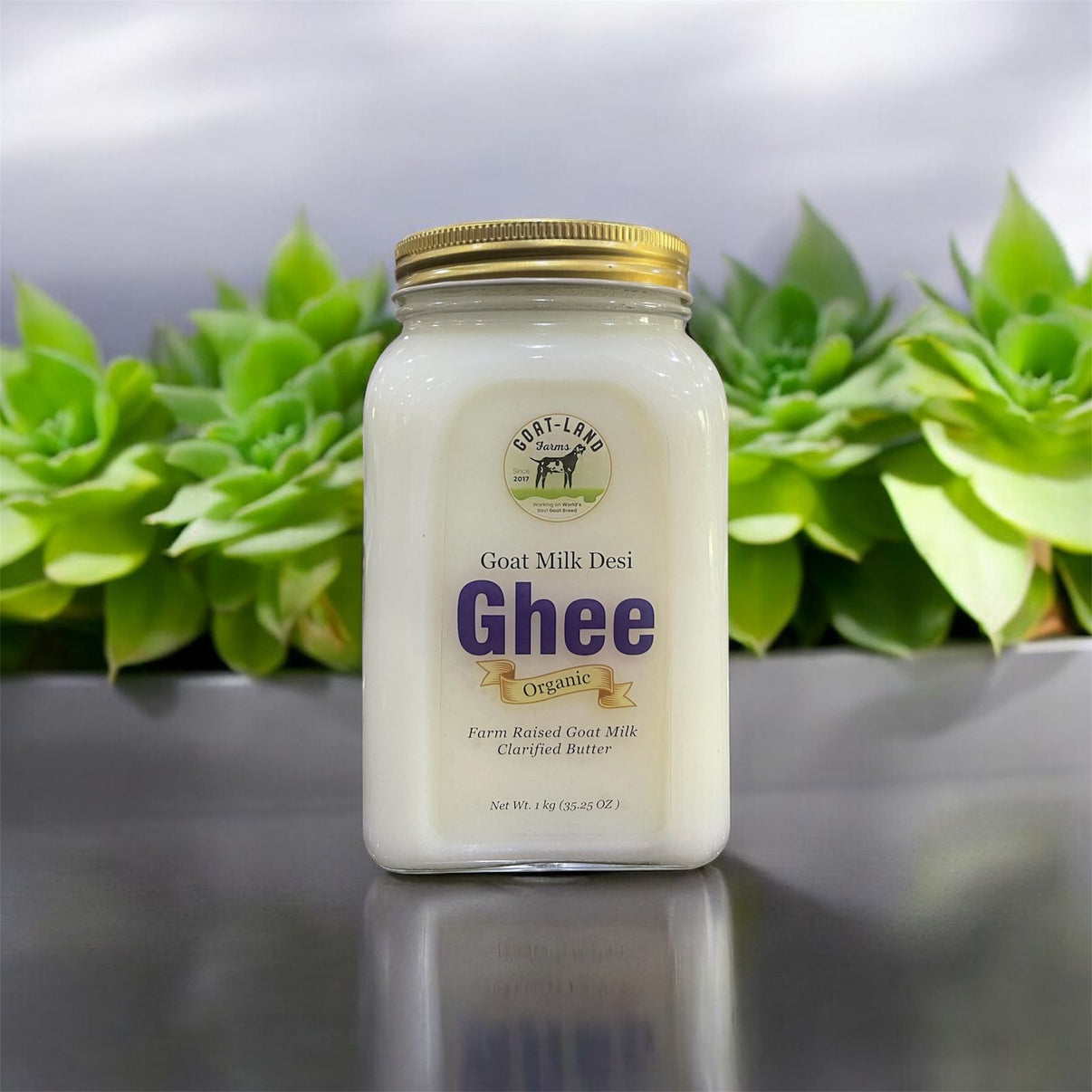 DESI GHEE GOAT MILK (1 Kg) – Goatlandfarms