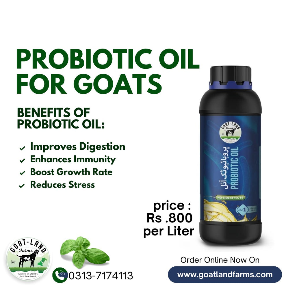 Probiotic Oil – Goatlandfarms