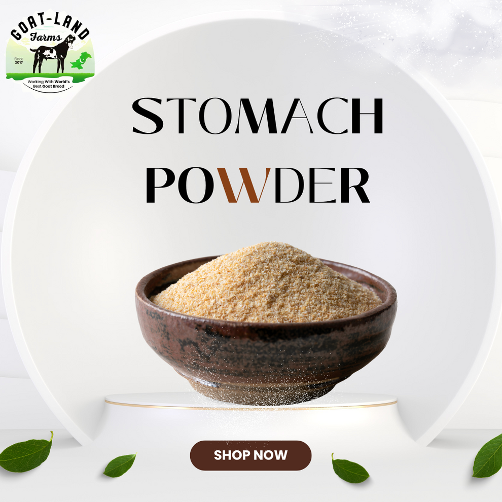 Stomach Powder (Per Kg) – Goatlandfarms